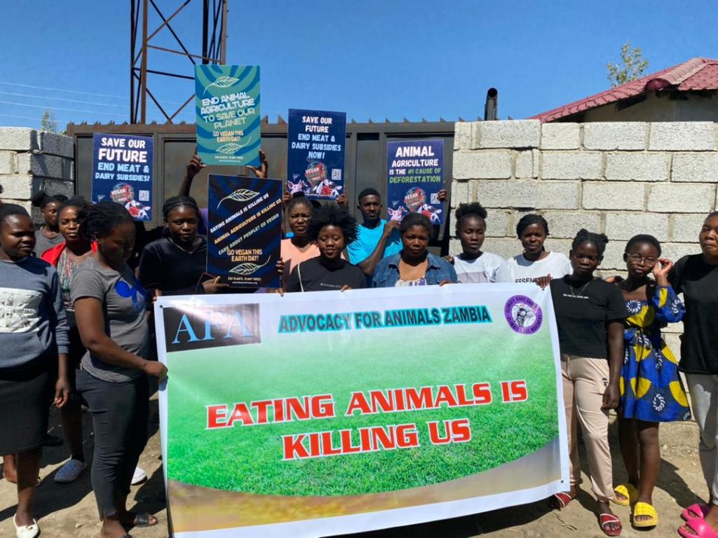 Advocacy for Animals